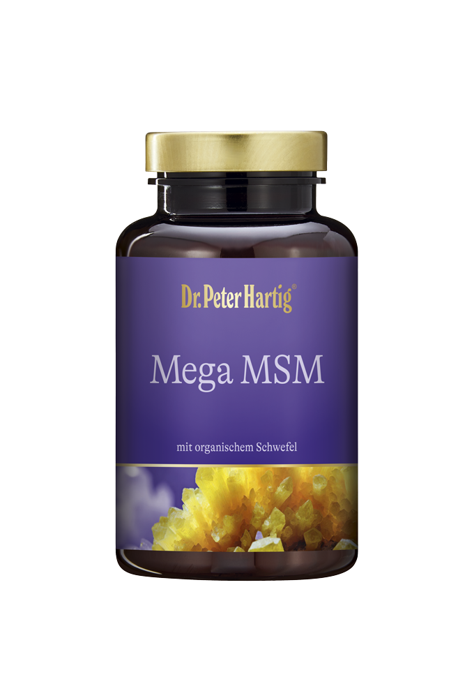 Mega MSM 🌱 Jetzt online bestellen!